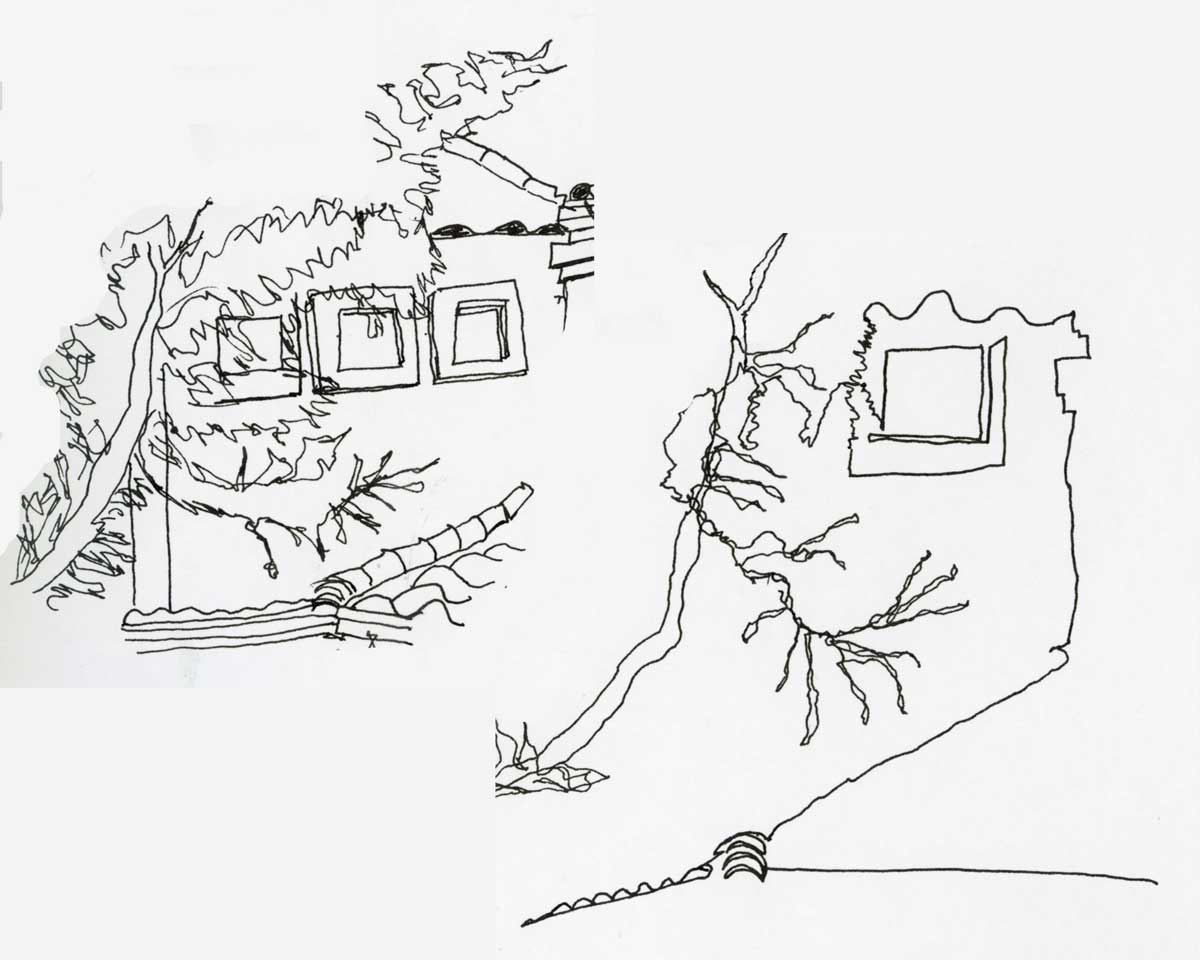Continuous Lines – Jamie's Sketchbook
